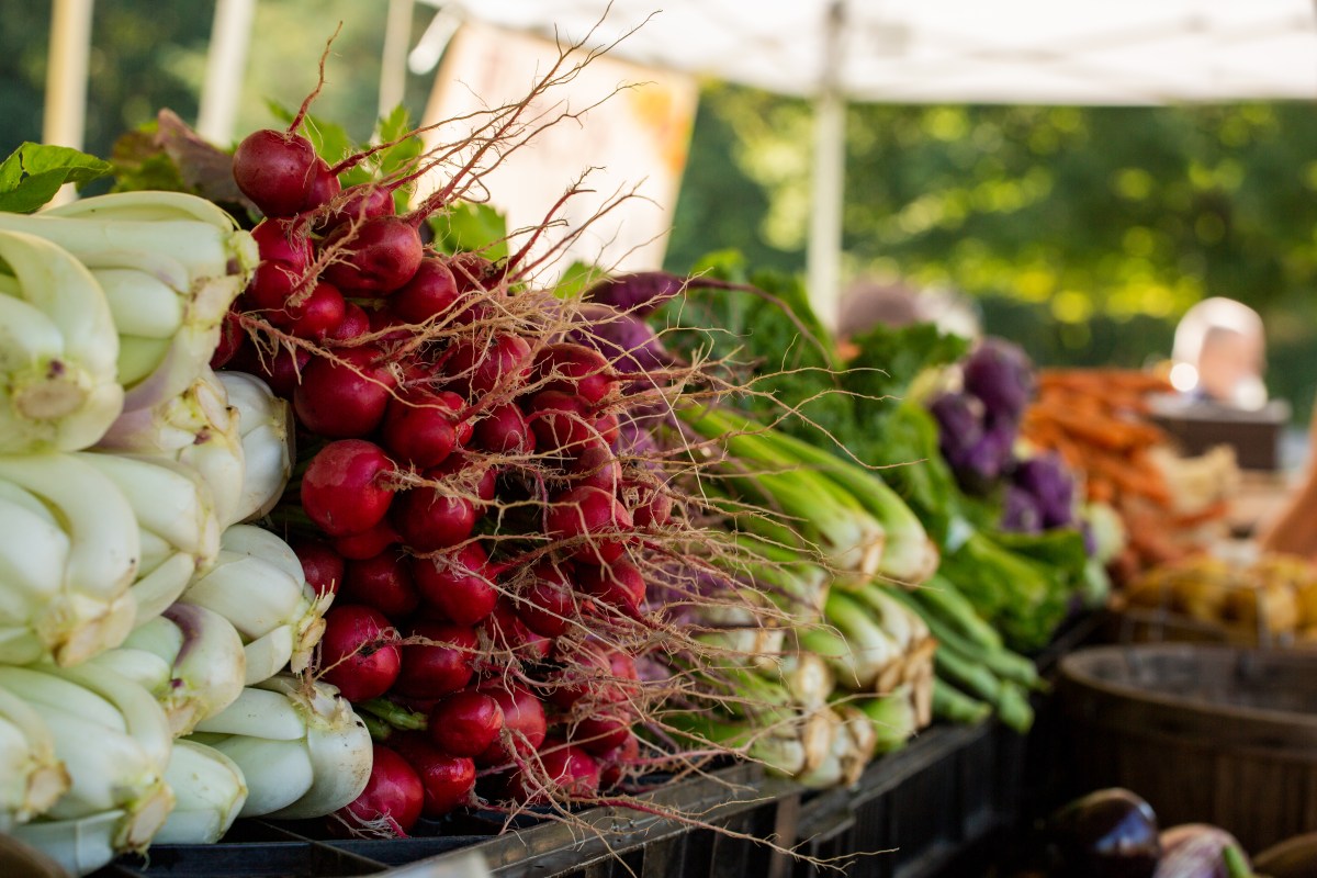 About the Farm | Zeiglers Market Garden