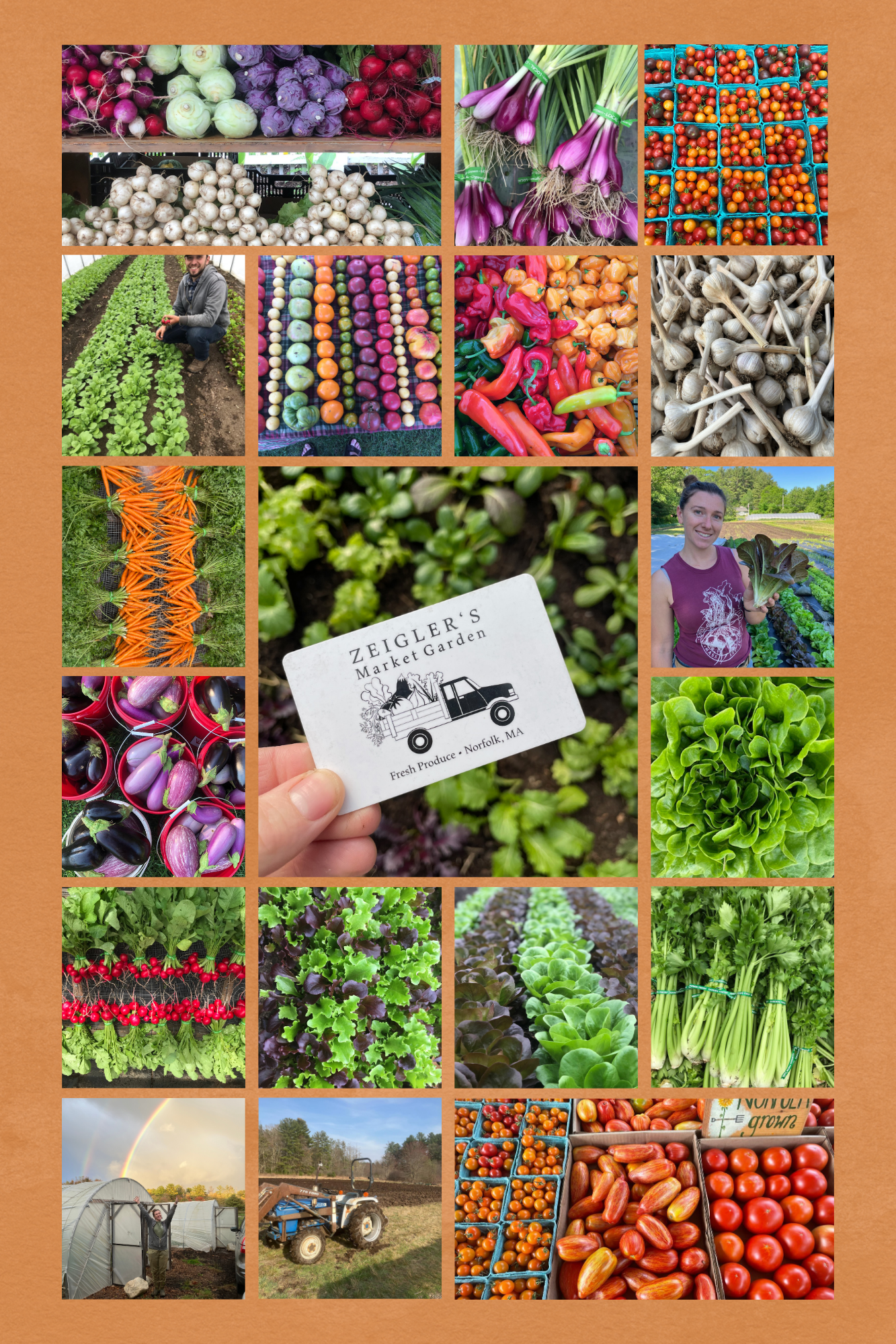 2026 Community Supported Agriculture | Zeiglers Market Garden